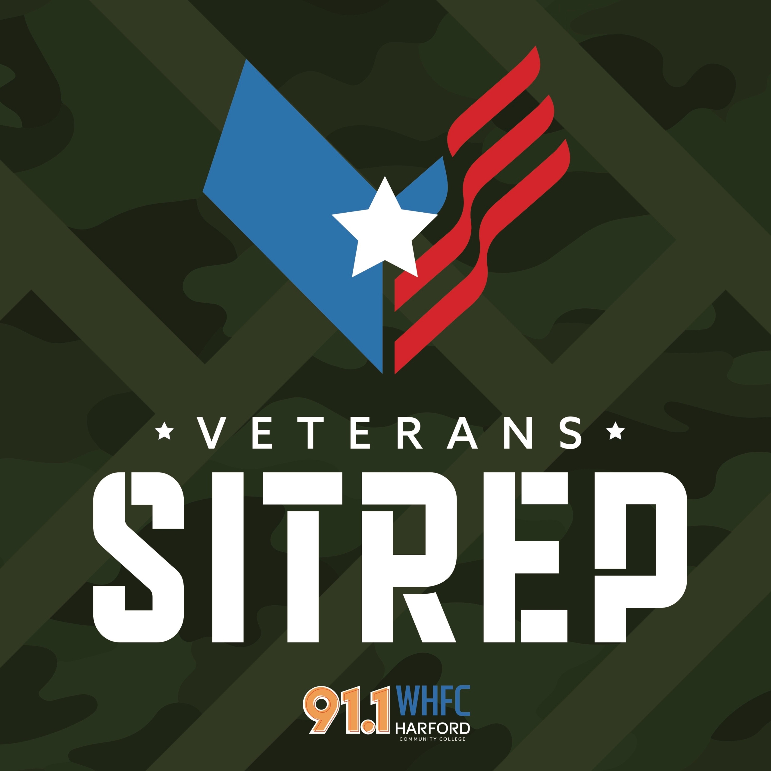 Veterans Sitrep ⋆ Project Opportunity